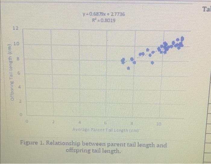 2. Lizard tail length is determined by multiple genes | Chegg.com