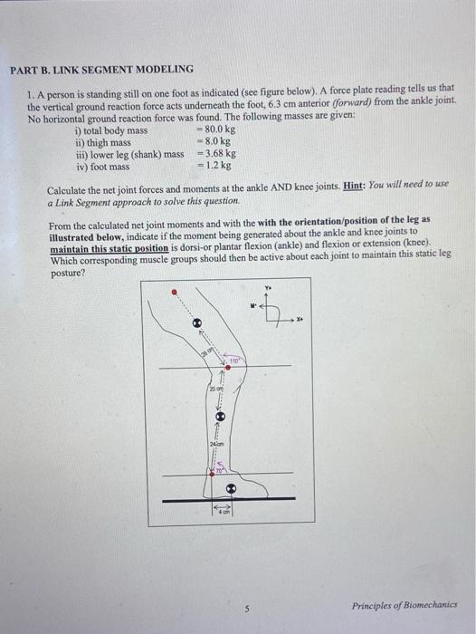 PART B. LINK SEGMENT MODELING 1. A person is standing | Chegg.com