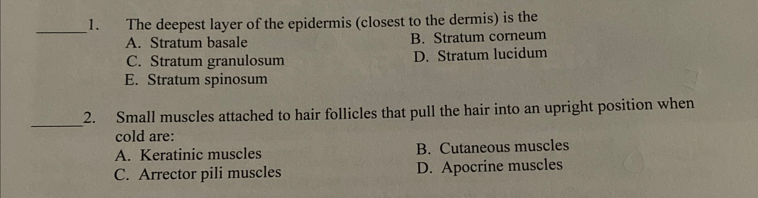 Solved The deepest layer of the epidermis (closest to the | Chegg.com