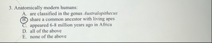 Solved Anatomically modern humans:A. ﻿are classified in the | Chegg.com