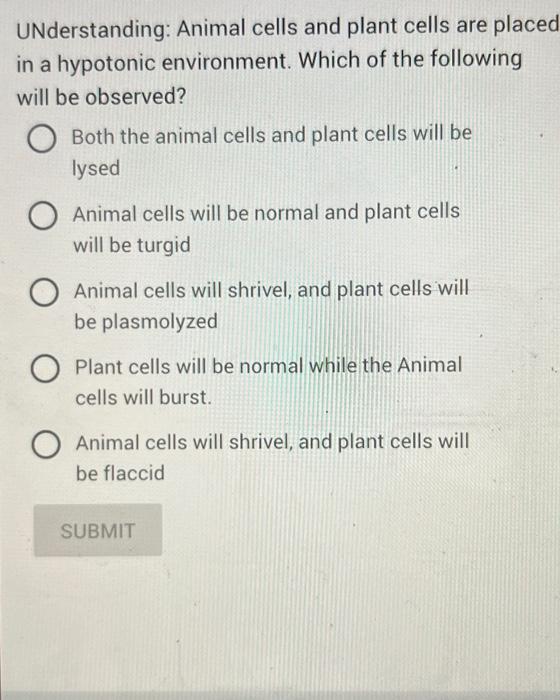 Solved UNderstanding: Animal cells and plant cells are | Chegg.com