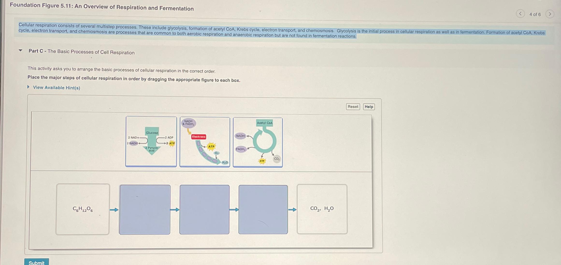 Solved Foundation Figure 5.11: An Overview of Respiration | Chegg.com