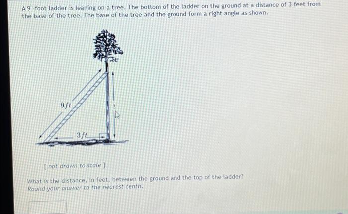 Solved A 9-foot ladder is leaning on a tree. The bottom of | Chegg.com