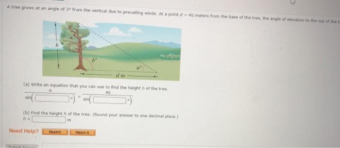 Solved A tree grows at an angle of 3 from the vertical due | Chegg.com