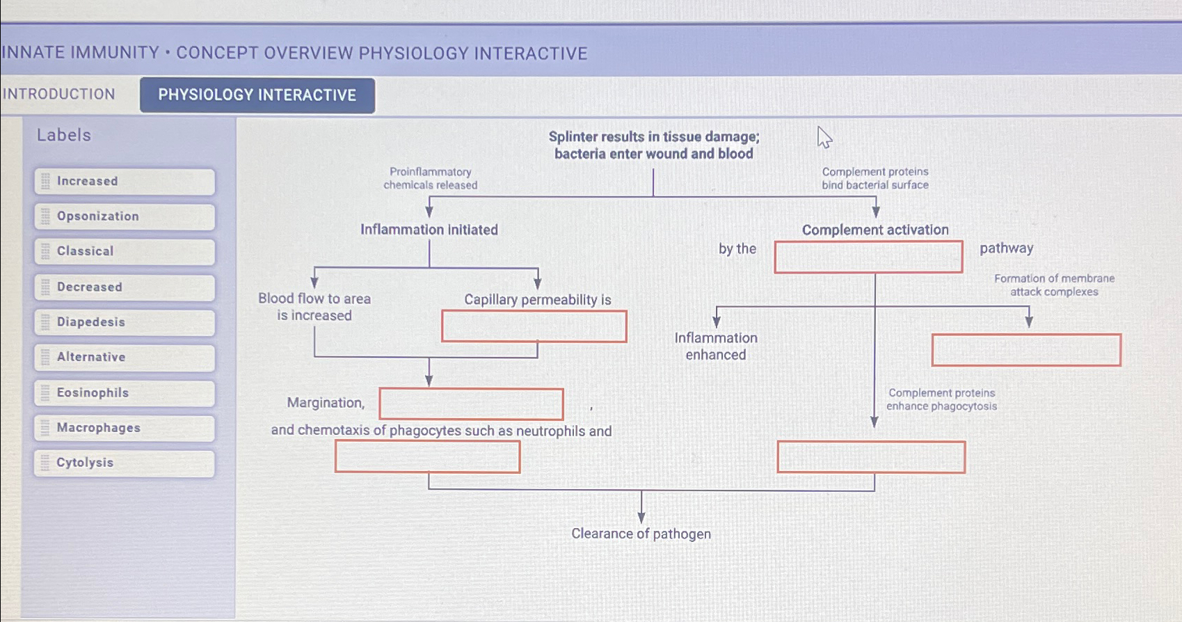 Solved INNATE IMMUNITY * CONCEPT OVERVIEW PHYSIOLOGY | Chegg.com Solved INNATE IMMUNITY * CONCEPT OVERVIEW PHYSIOLOGY | Chegg.com