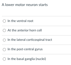Solved A lower motor neuron starts: In the ventral rootAt | Chegg.com
