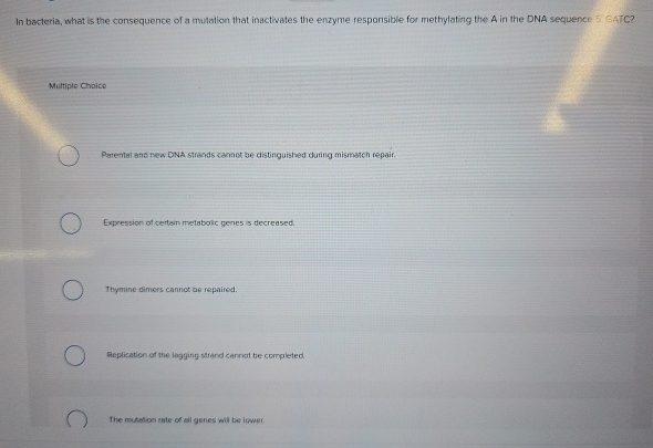 Solved In bacteria, what is the consequence of a mutation | Chegg.com