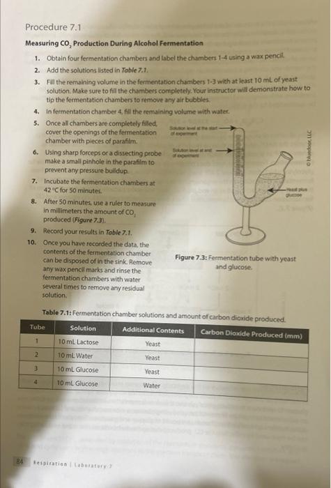 Solved Procedure 7.2 Measuring O2 Consumption During Aerobic | Chegg.com