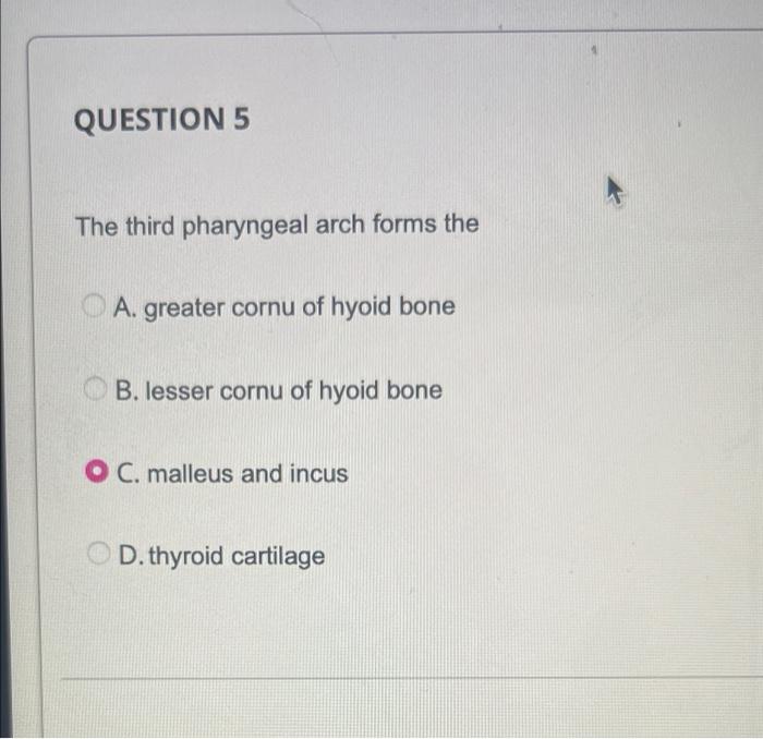 Solved QUESTION 5 The third pharyngeal arch forms the A. | Chegg.com