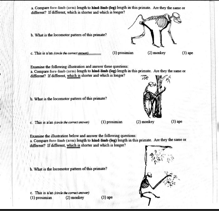 a. Compare fore-limb (arm) length to hind-limb (leg) | Chegg.com