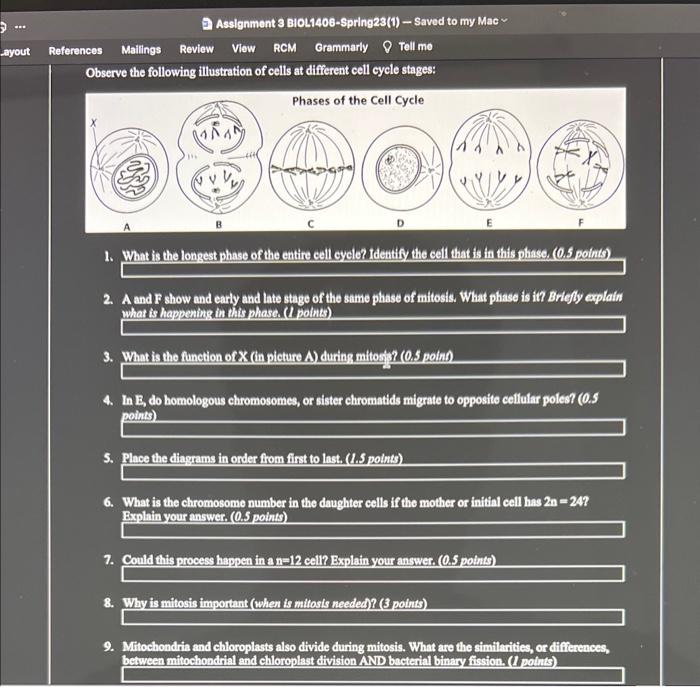 Solved 1. What is the longest phase of the entire cell | Chegg.com