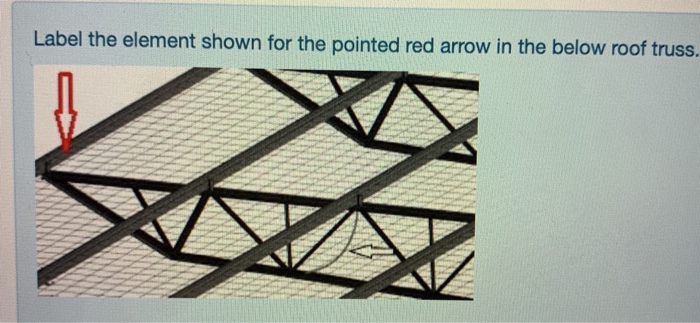 Solved Label the element shown for the pointed red arrow in | Chegg.com