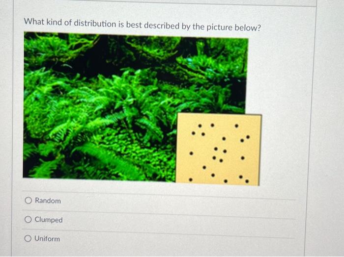 Solved What kind of distribution is best described by the | Chegg.com