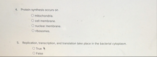 Solved Probein synthesis occurs on\geoquad | Chegg.com