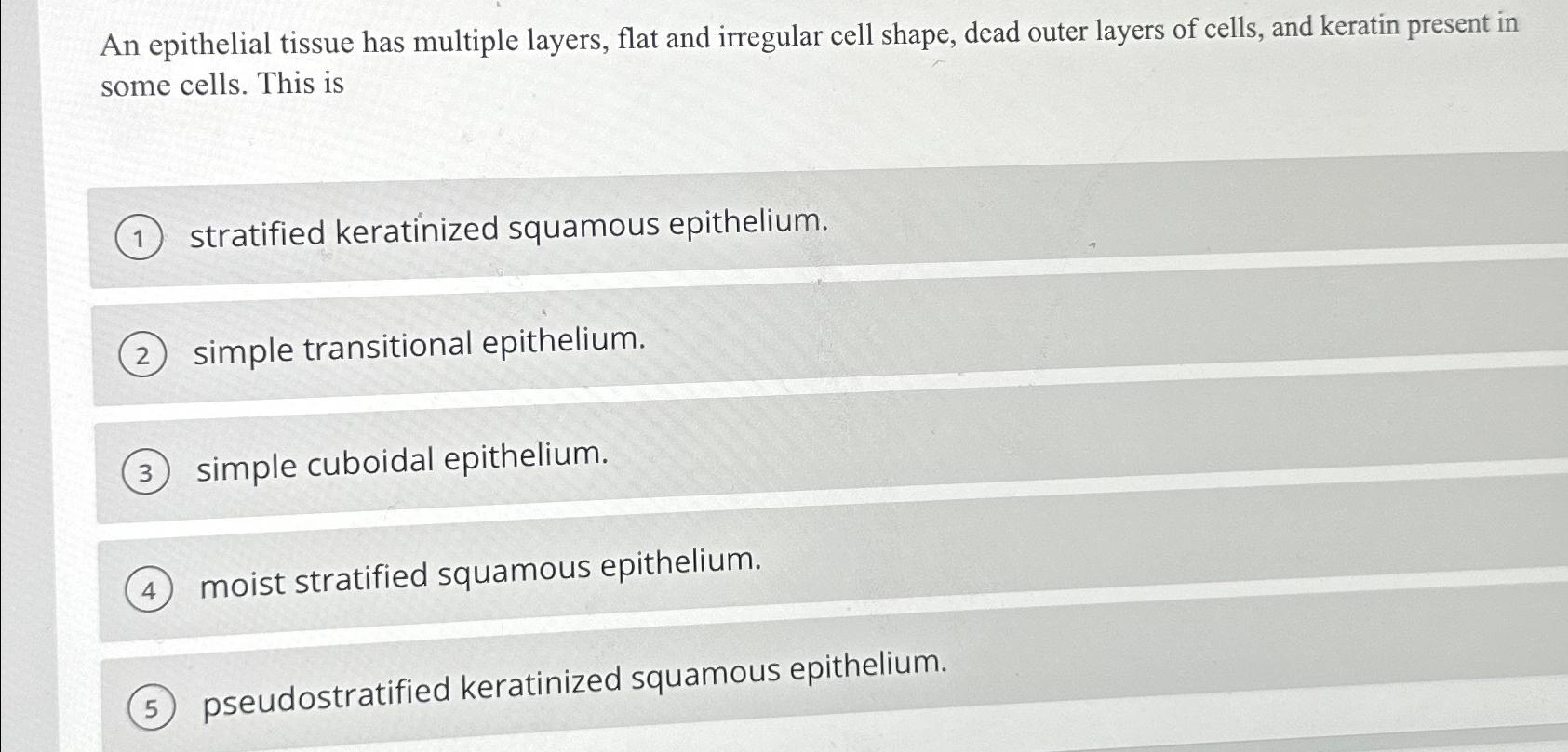 Solved An epithelial tissue has multiple layers, flat and | Chegg.com