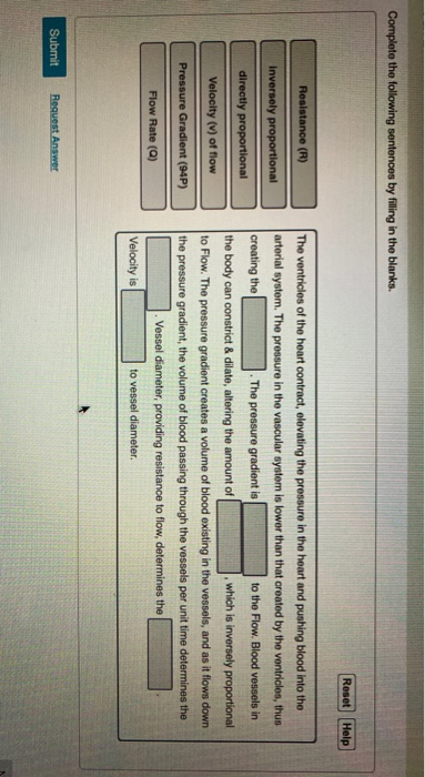 Solved Complete the following sentences by filling in the | Chegg.com