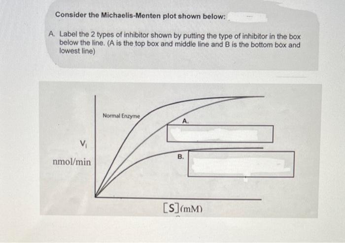 Solved Consider the Michaelis-Menten plot shown below: A. | Chegg.com