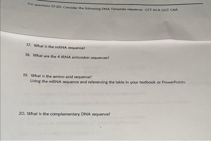 Solved For questions 13-16: Consider the following DNA | Chegg.com