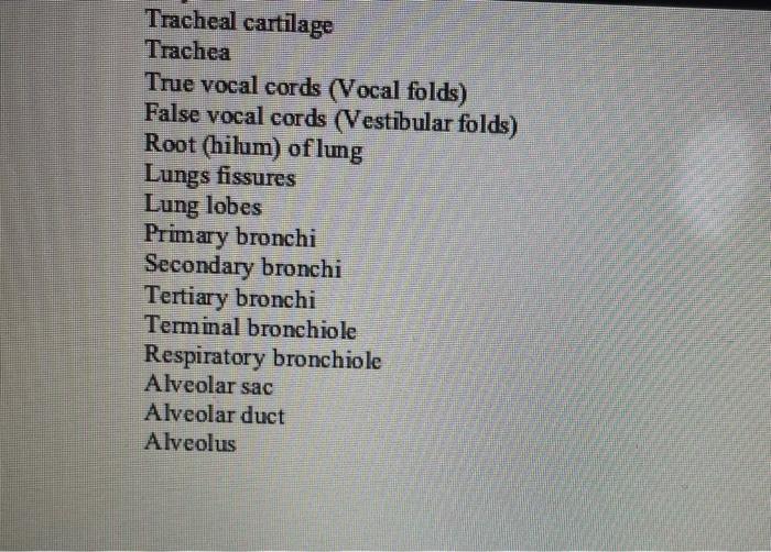 Solved BIO-132 Respiratory Tract Dissection Instructions: | Chegg.com