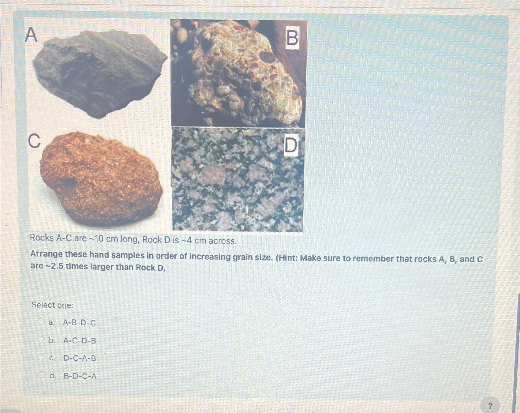 Solved Rocks A-C ﻿are ∼10cm ﻿long, Rock D ﻿is ∼4cm | Chegg.com