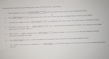 Solved Complete each sentence by selecting the phaper term | Chegg.com
