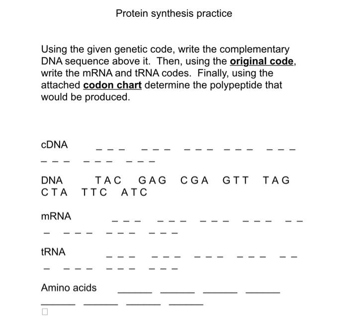 Solved Protein synthesis practice Using the given genetic | Chegg.com