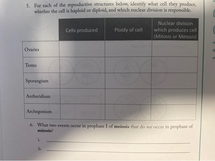 Solved 5. For each of the reproductive structures below, | Chegg.com