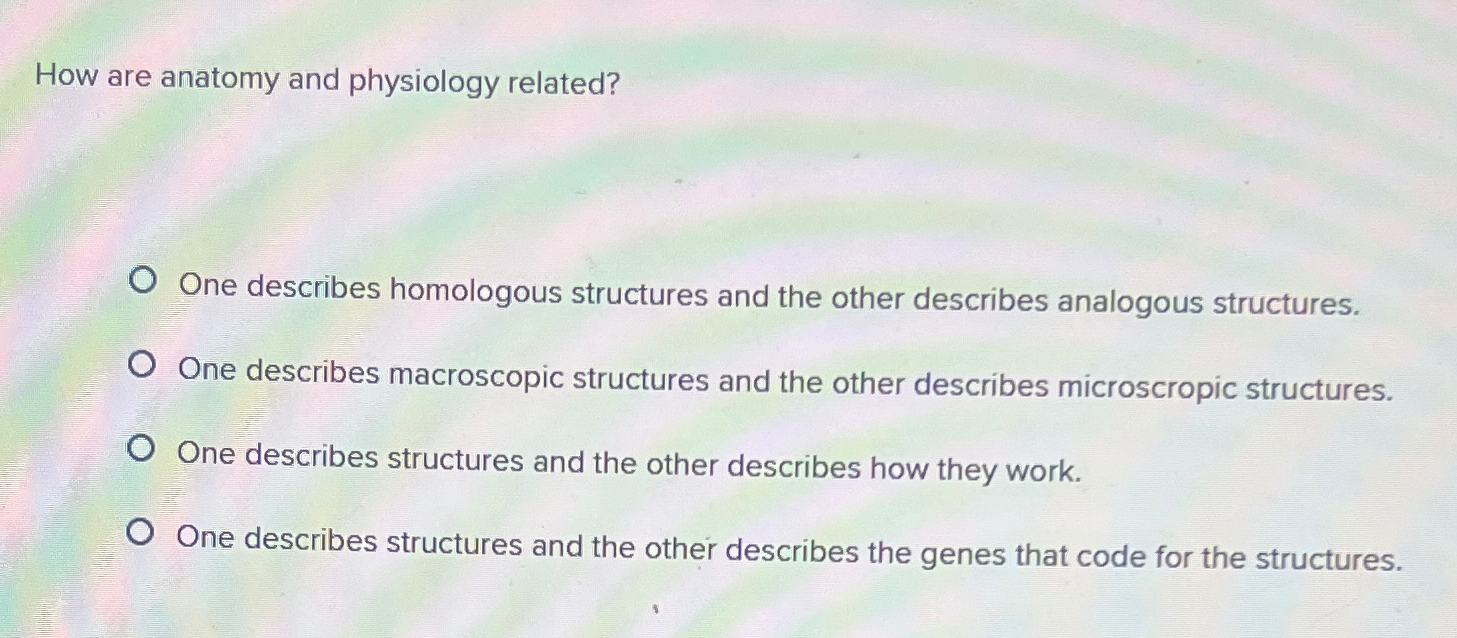 Solved How are anatomy and physiology related?One describes | Chegg.com
