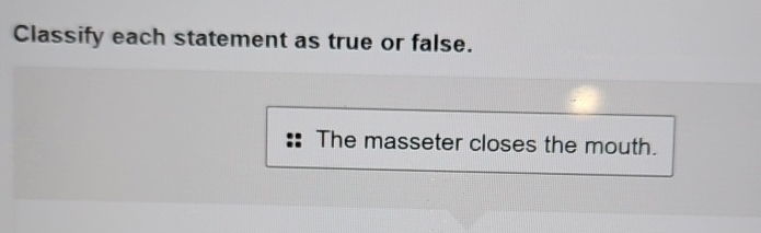 Solved Classify each statement as true or false.The masseter | Chegg.com