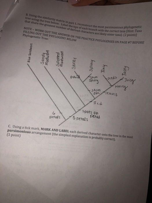 Solved B. Using the similarity matrix in part 1, reconstruct | Chegg.com