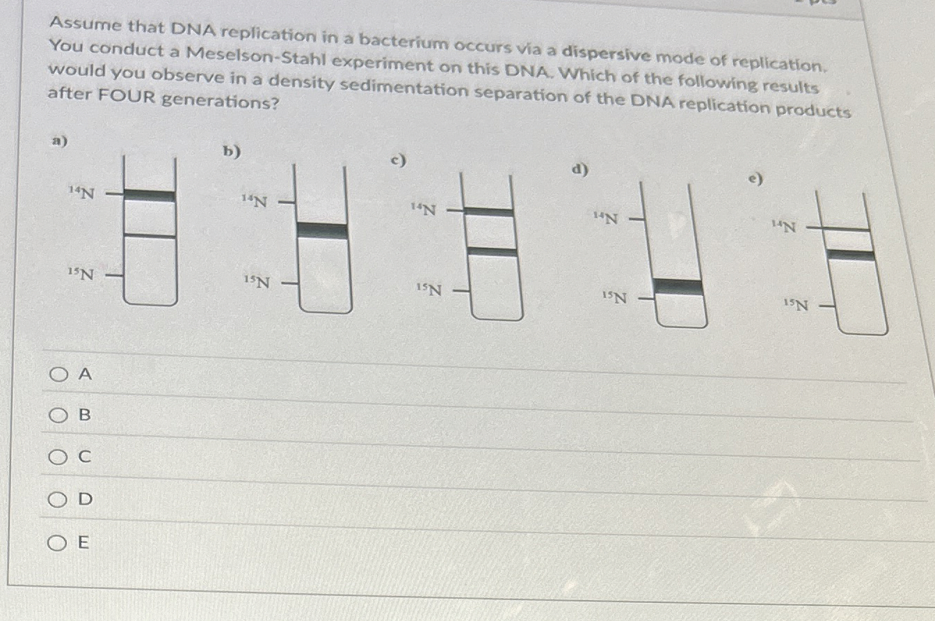Solved Assume that DNA replication in a bacterium occurs via | Chegg.com