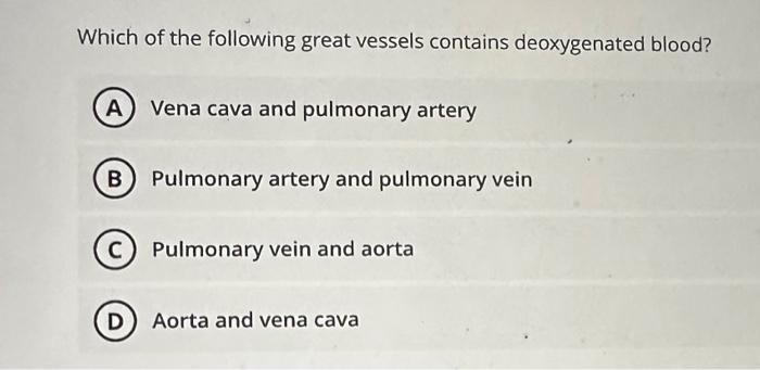 Solved Which of the following great vessels contains | Chegg.com