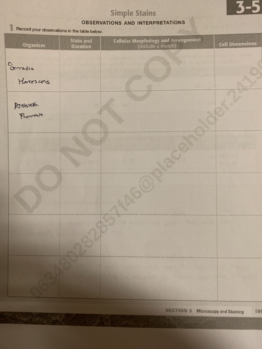 Solved 3-5 Simple Stains OBSERVATIONS AND INTERPRETATIONS | Chegg.com