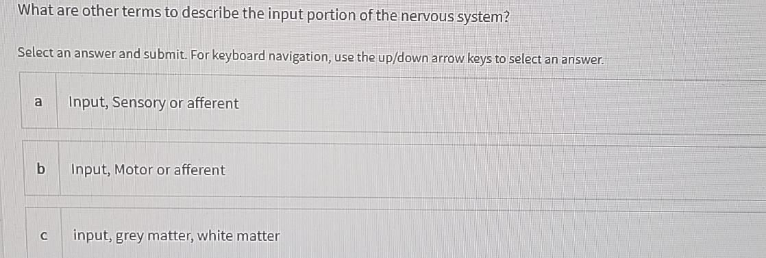 Solved What are other terms to describe the input portion of | Chegg.com