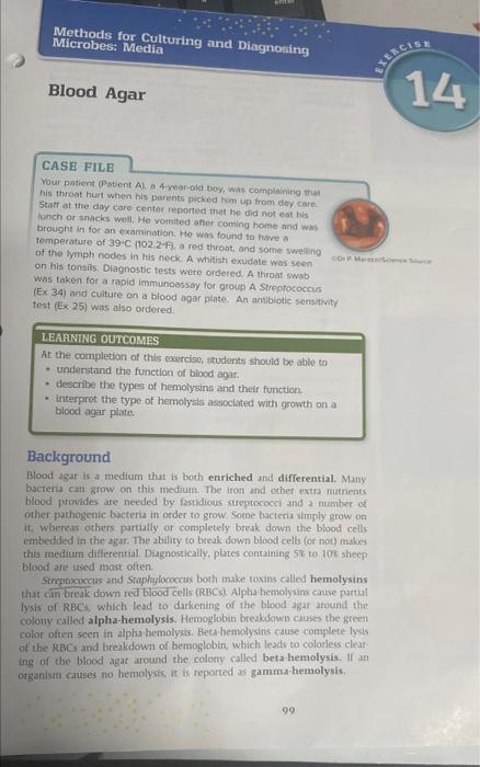 Blood Agar CASE FILE Vour patient (Patient Al a Avear | Chegg.com