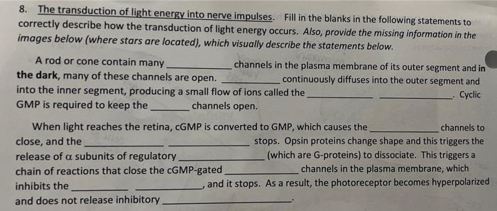 Solved 8. The transduction of light energy into nerve | Chegg.com