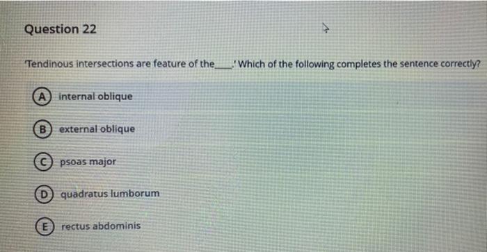 Solved Question 22 Tendinous intersections are feature of | Chegg.com
