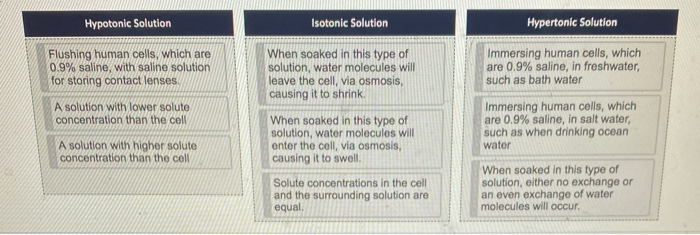 Solved organize the following statements as they apply to | Chegg.com