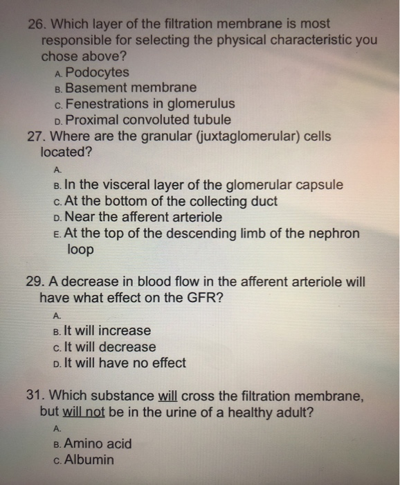 Solved 13. What does the glomerular filtration rate measure? | Chegg.com