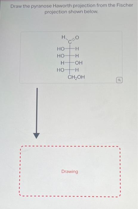 Solved Draw the pyranose Haworth projection from the | Chegg.com