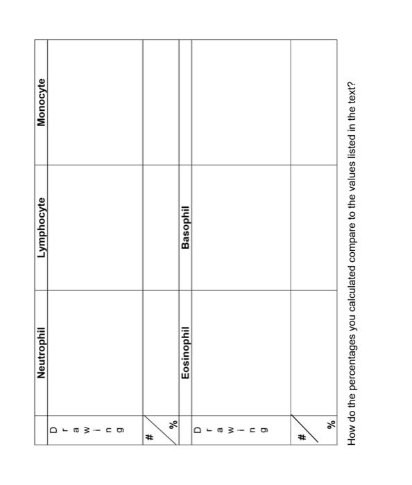 Solved Part 1. Describe the differences vou can observe | Chegg.com