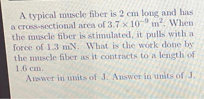 Solved A typical muscle fiber is 2 cm long and has a | Chegg.com