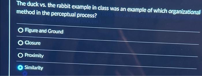 The duck vs. the rabbit example in class was an | Chegg.com