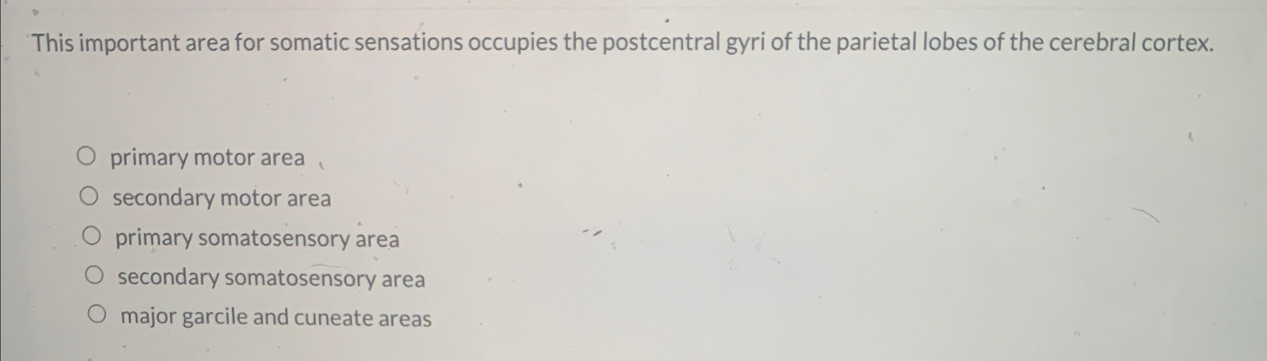 Solved This important area for somatic sensations occupies | Chegg.com
