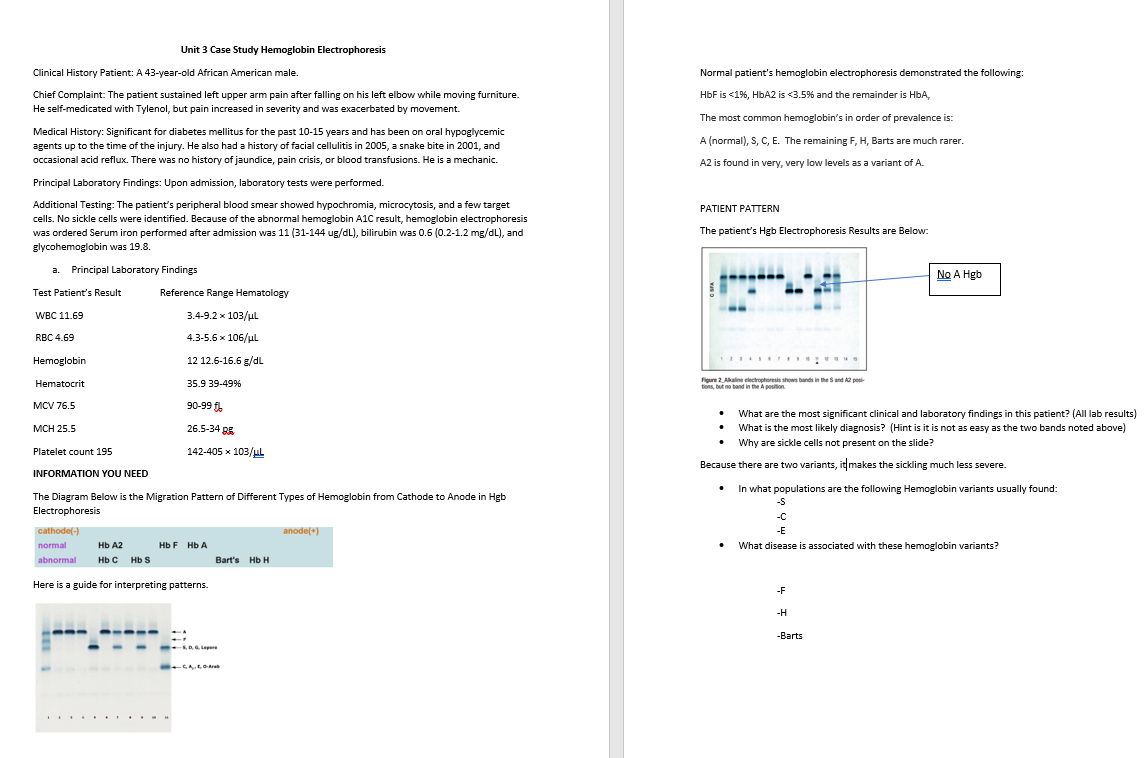 Solved Unit 3 ﻿Case Study Hemoglobin ElectrophoresisClinical | Chegg.com