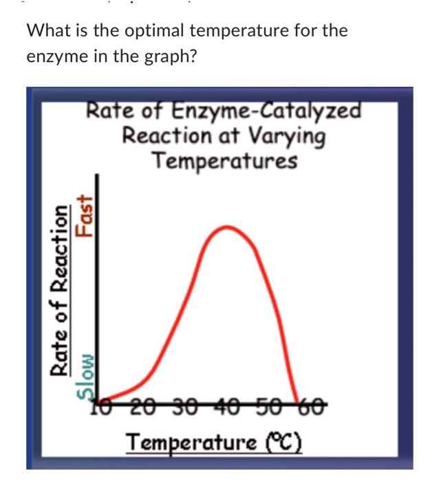 Solved What is the optimal temperature for the enzyme in the | Chegg.com