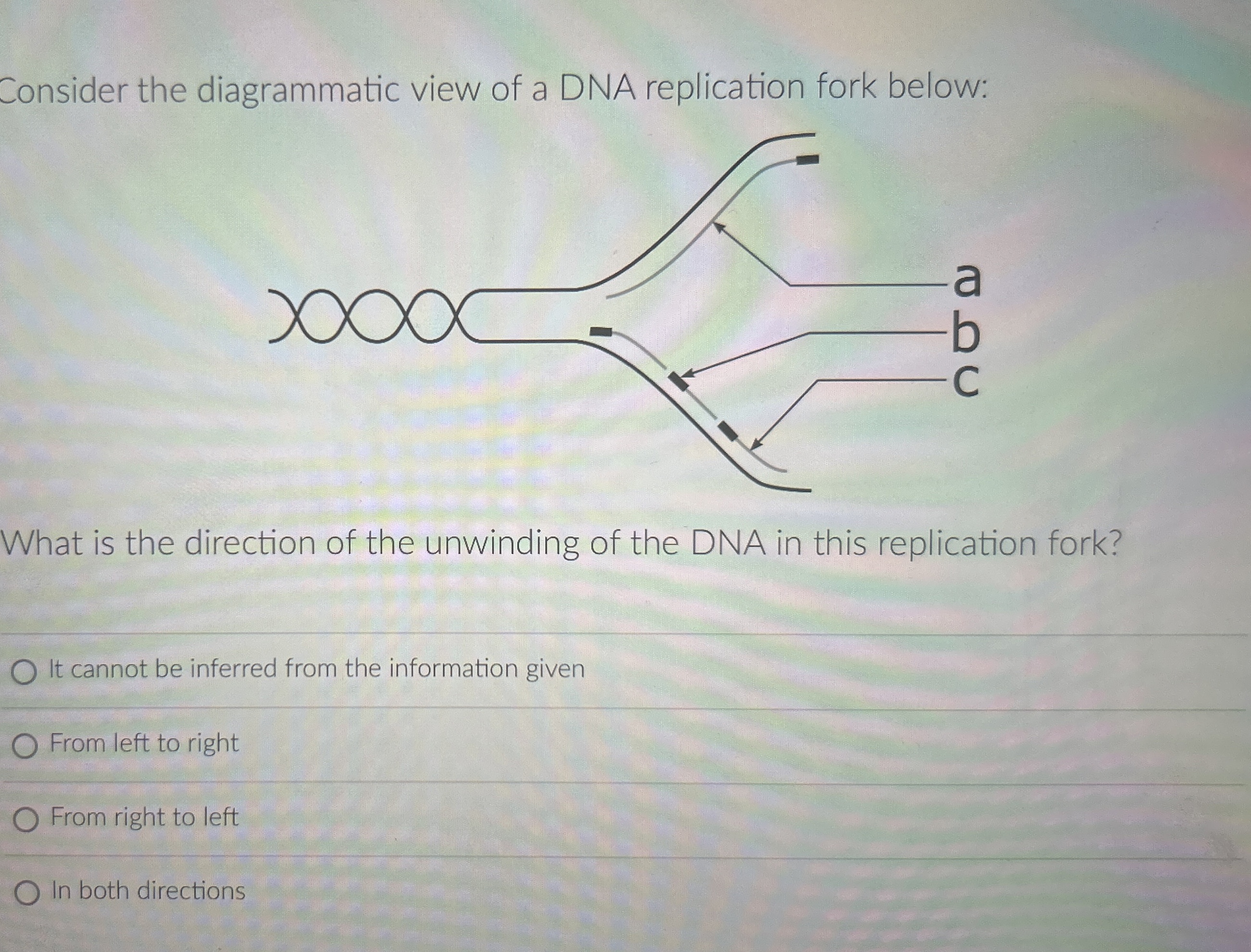 Consider the diagrammatic view of a DNA replication | Chegg.com