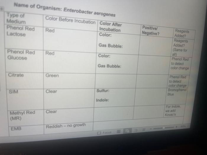 Solved Type of Name of Organism: Enterobacter aerogenes | Chegg.com
