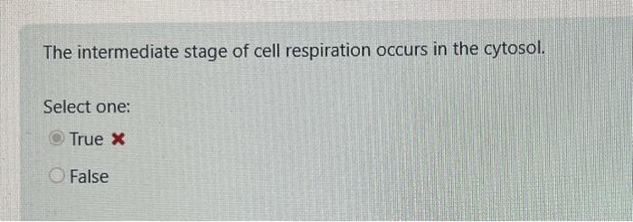 Solved The intermediate stage of cell respiration occurs in | Chegg.com