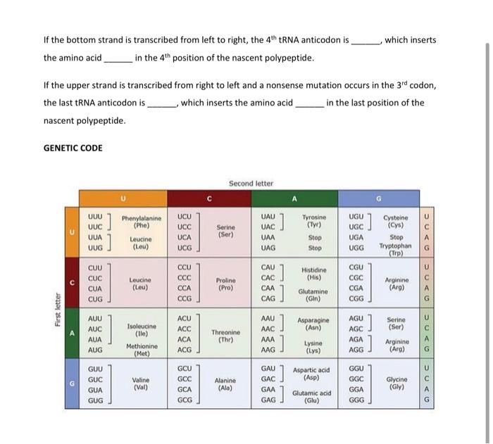 Solved BIO 340 ACTIVITY \#6: CENTRAL DOGMA \& MUTATION I. | Chegg.com